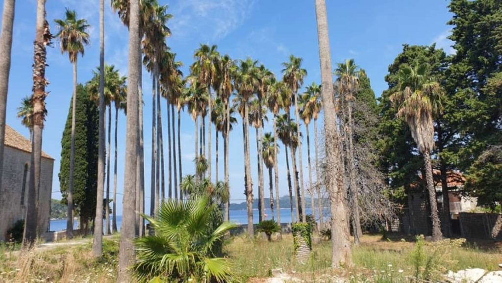 After 18 Years a Resident, 35 New Things I Learned about Croatia in ...