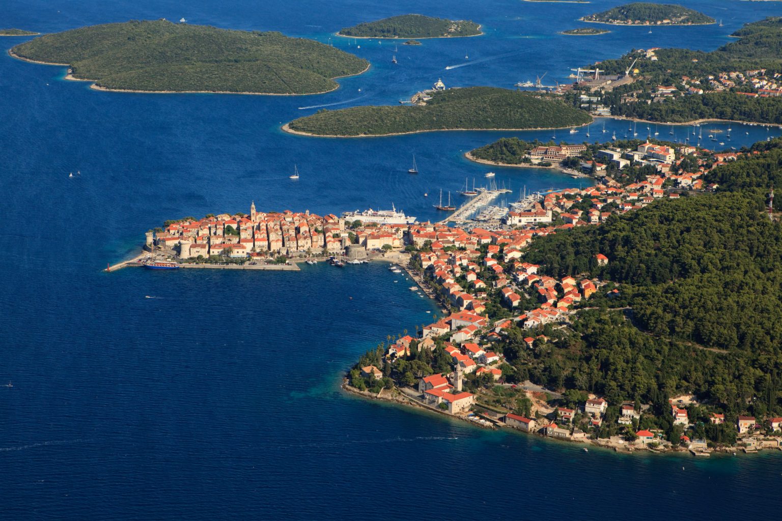 Blue Shark in Korcula Waters Spotted and Photographed - Total Croatia