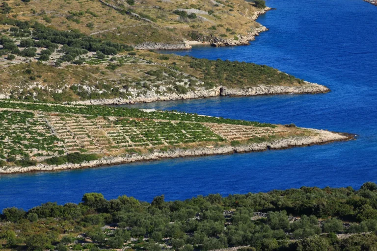 Exploring The Croatian Language - The Shtokavian Dialect - Total Croatia
