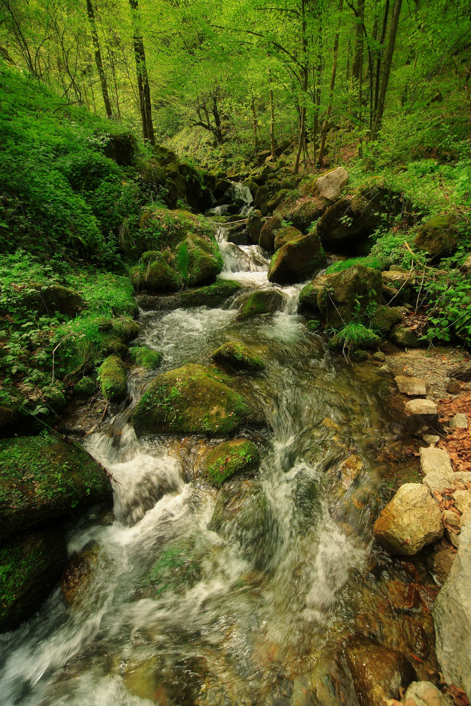 UNESCO Protection and Success of Geopark Papuk - Total Croatia