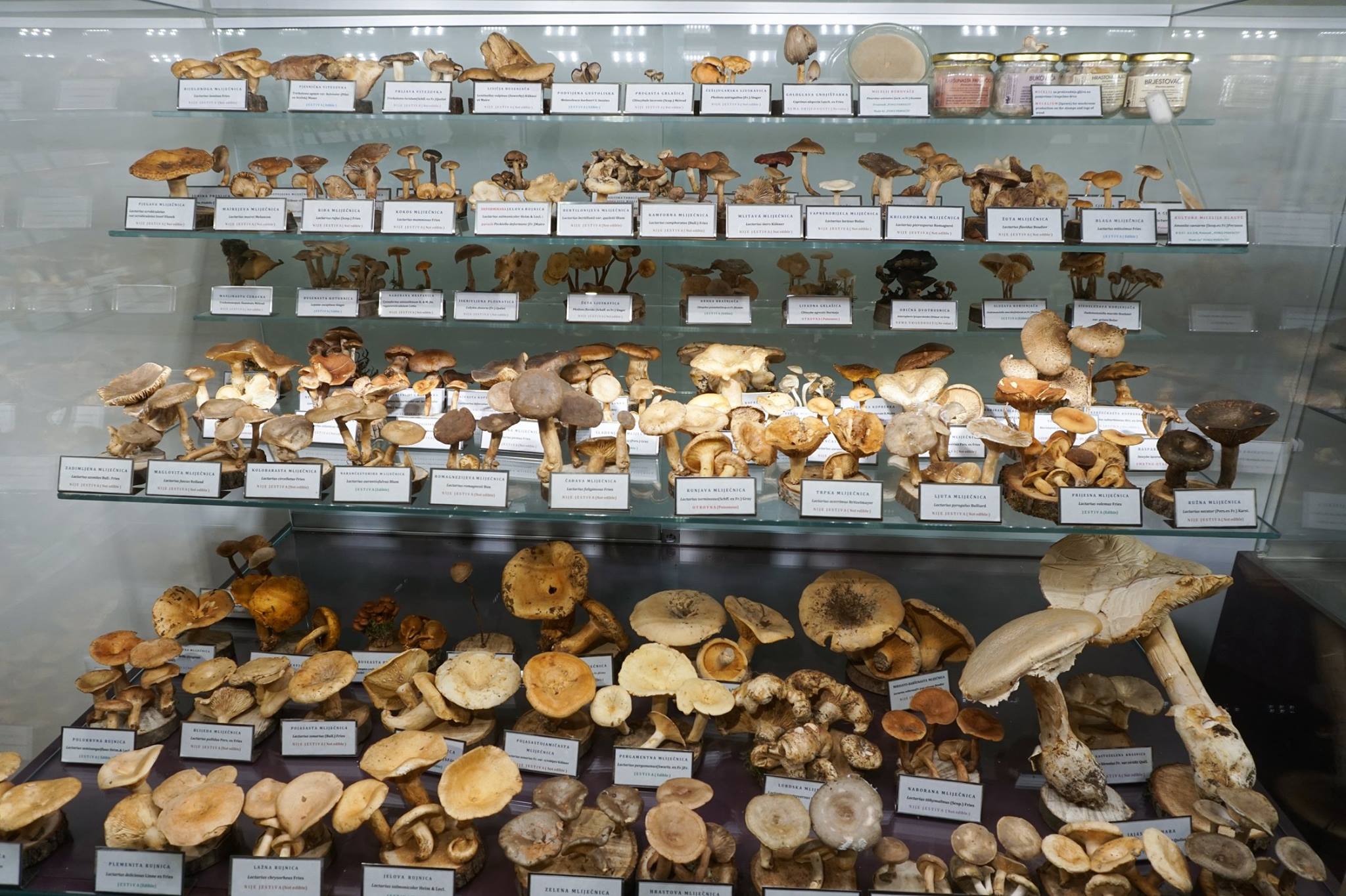 Five Unusual Croatian Museums - Total Croatia