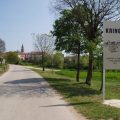 Meet The Croatian Vampire, Jure Grando - Total Croatia
