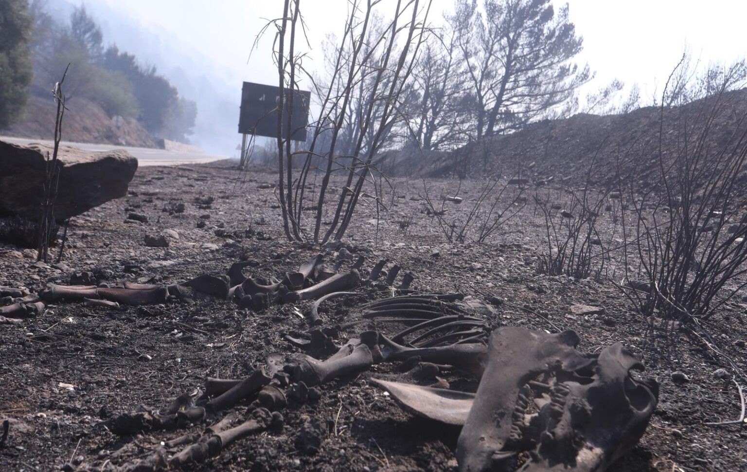 Pisak Fire Burns Homes, Residents & Tourists Evacuated - Total Croatia